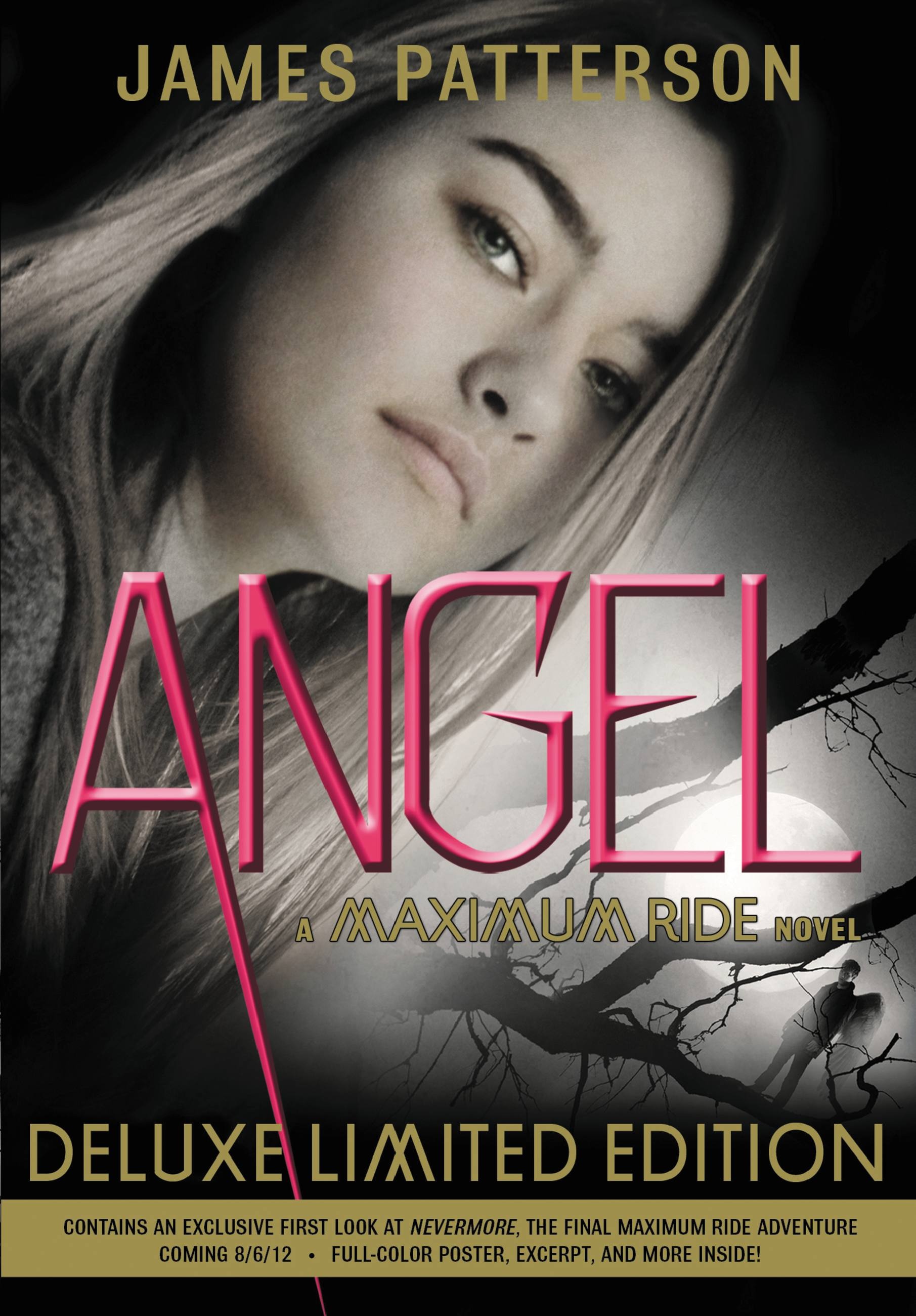 Maximum Ride | Hachette Book Group
