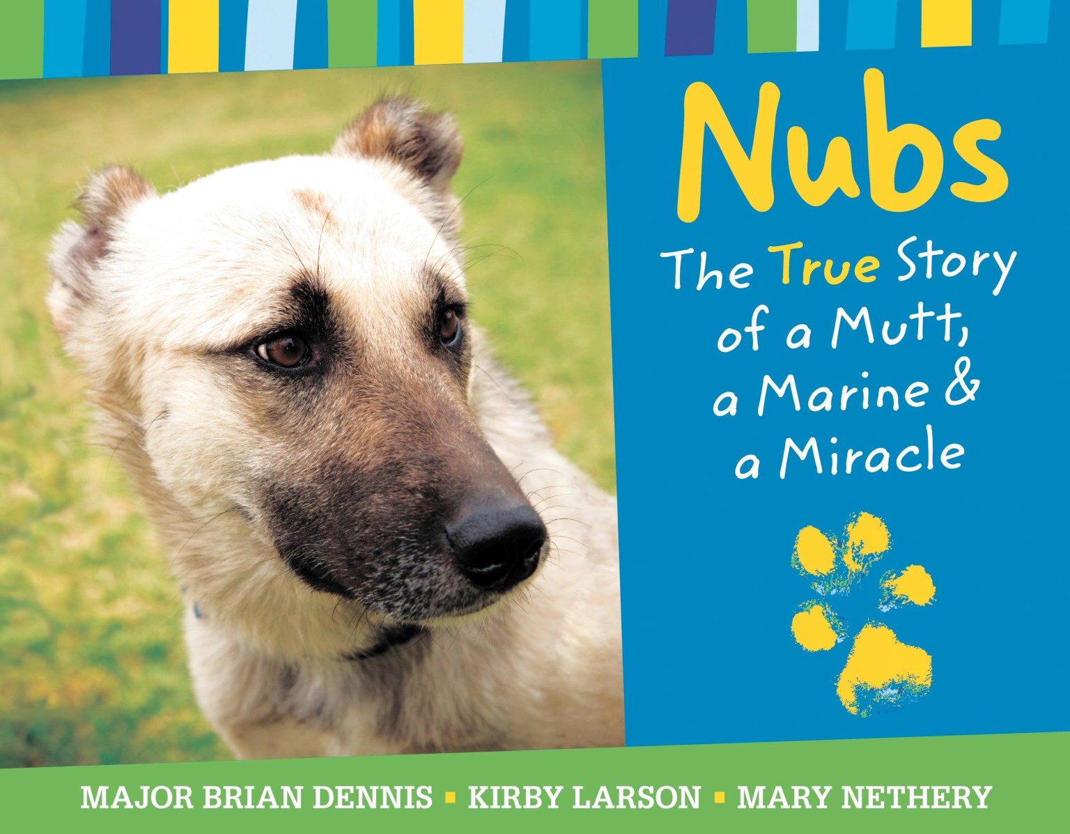 Nubs: The True Story of a Mutt, a Marine & a Miracle by Major Brian ...