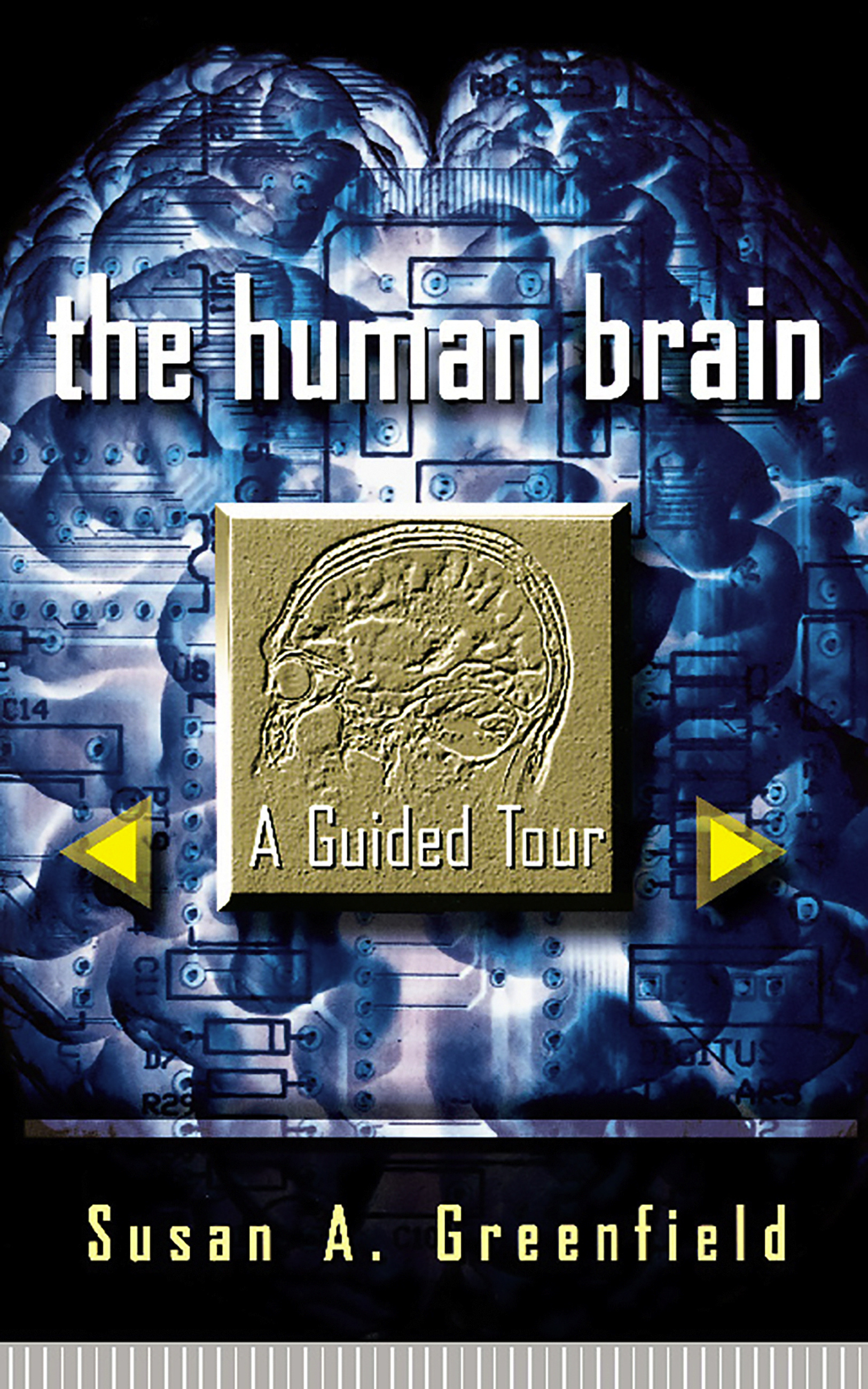 The Human Brain by Susan A. Greenfield | Hachette Book Group