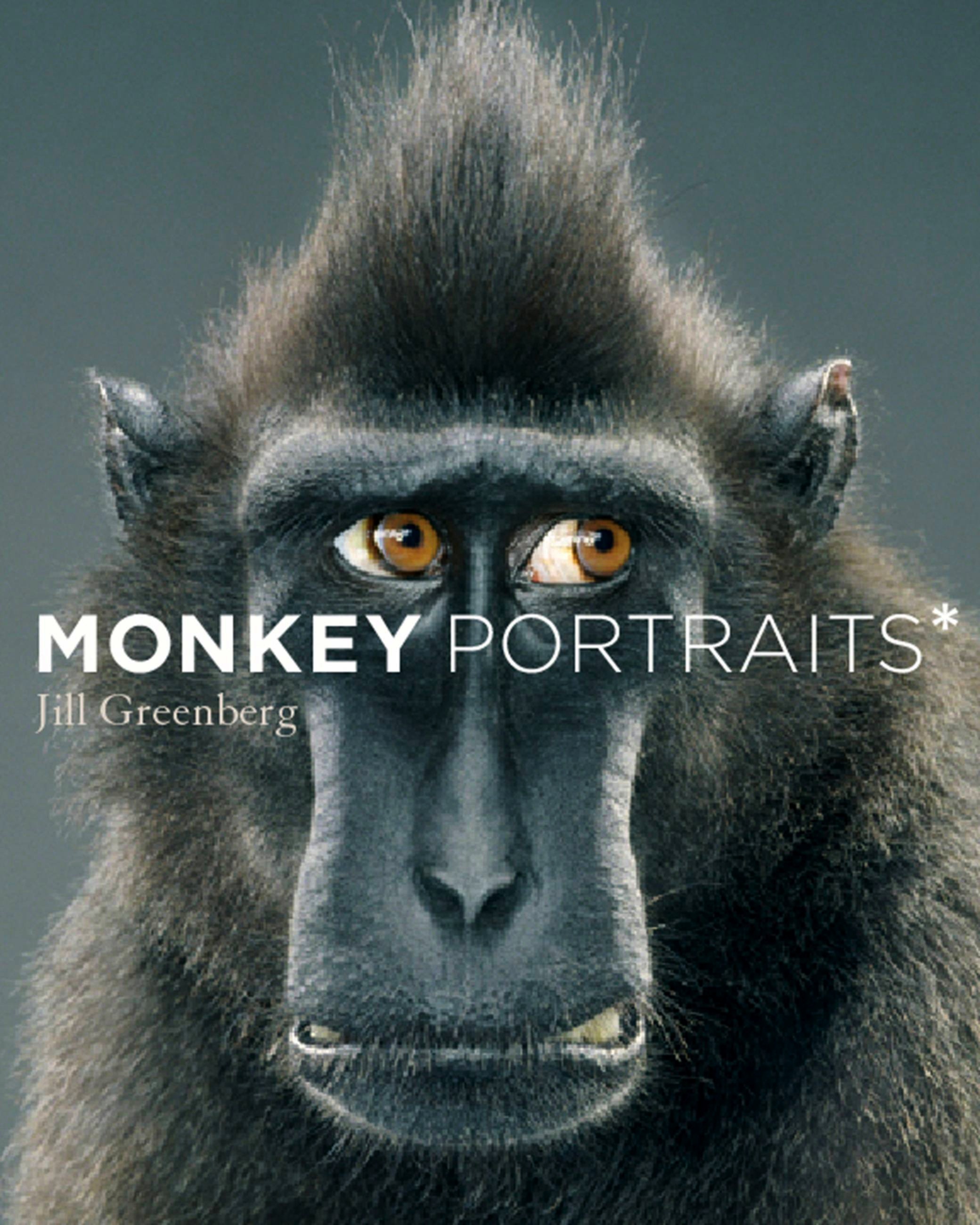 Monkey Portraits by Jill Greenberg | Hachette Book Group