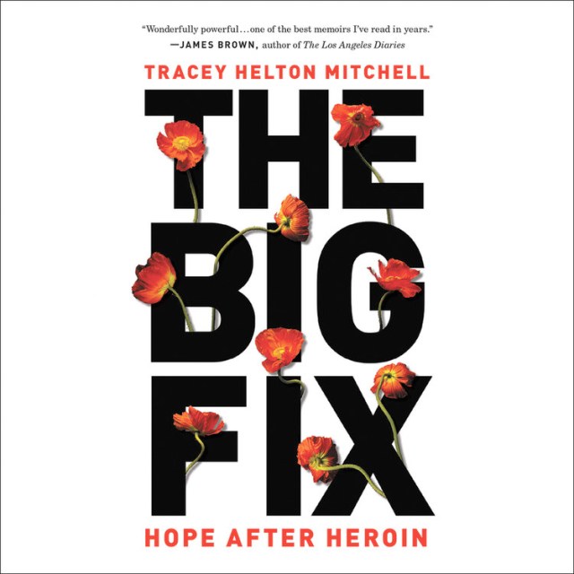 The Big Fix by Tracey Helton Mitchell | Hachette Book Group
