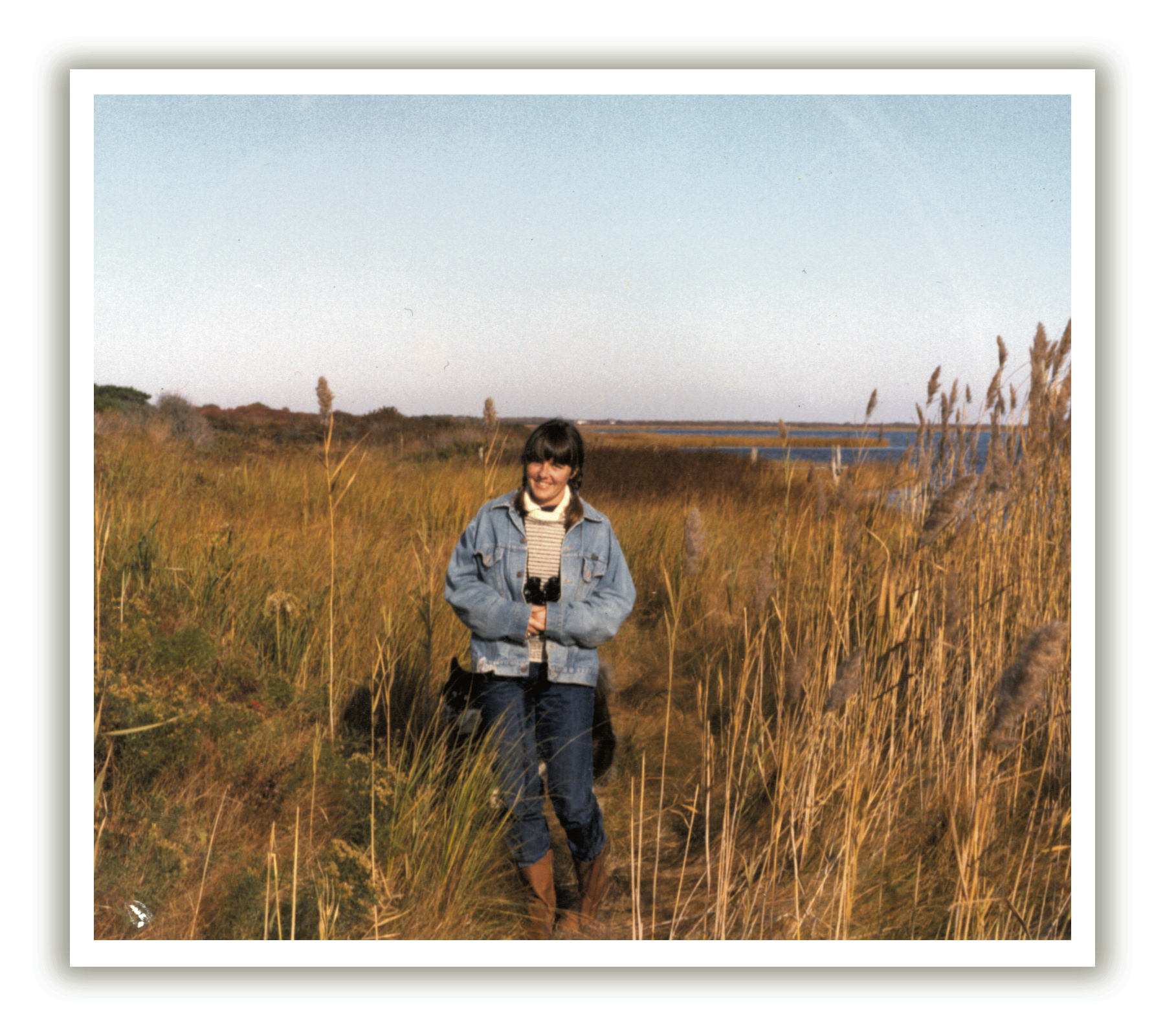 Susan Branch | Hachette Book Group