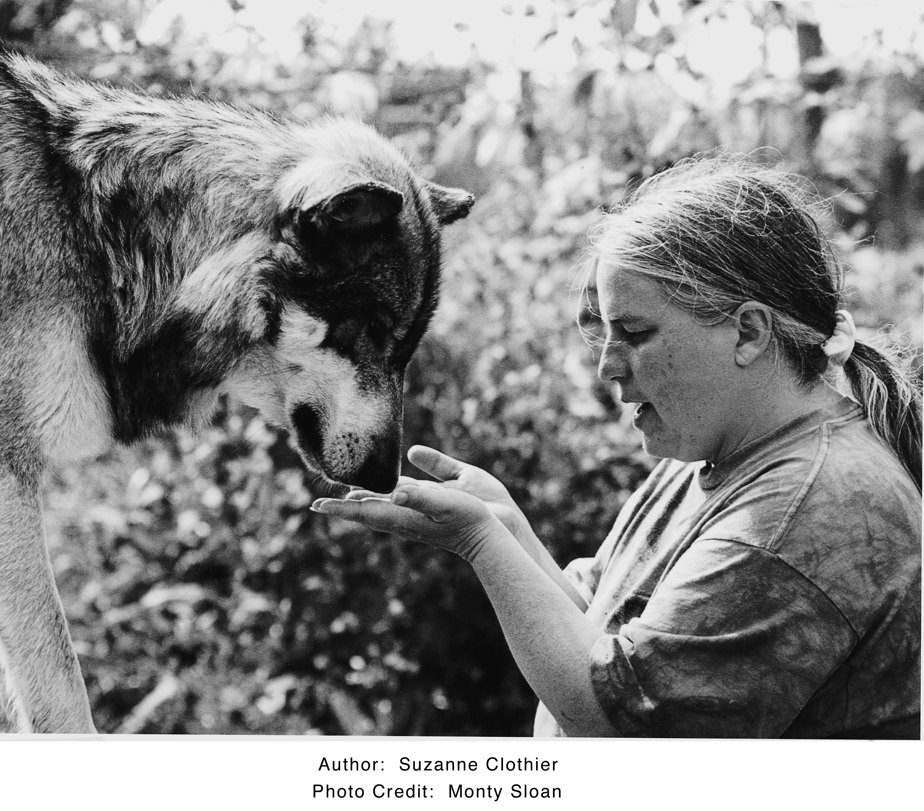 Suzanne Clothier | Hachette Book Group