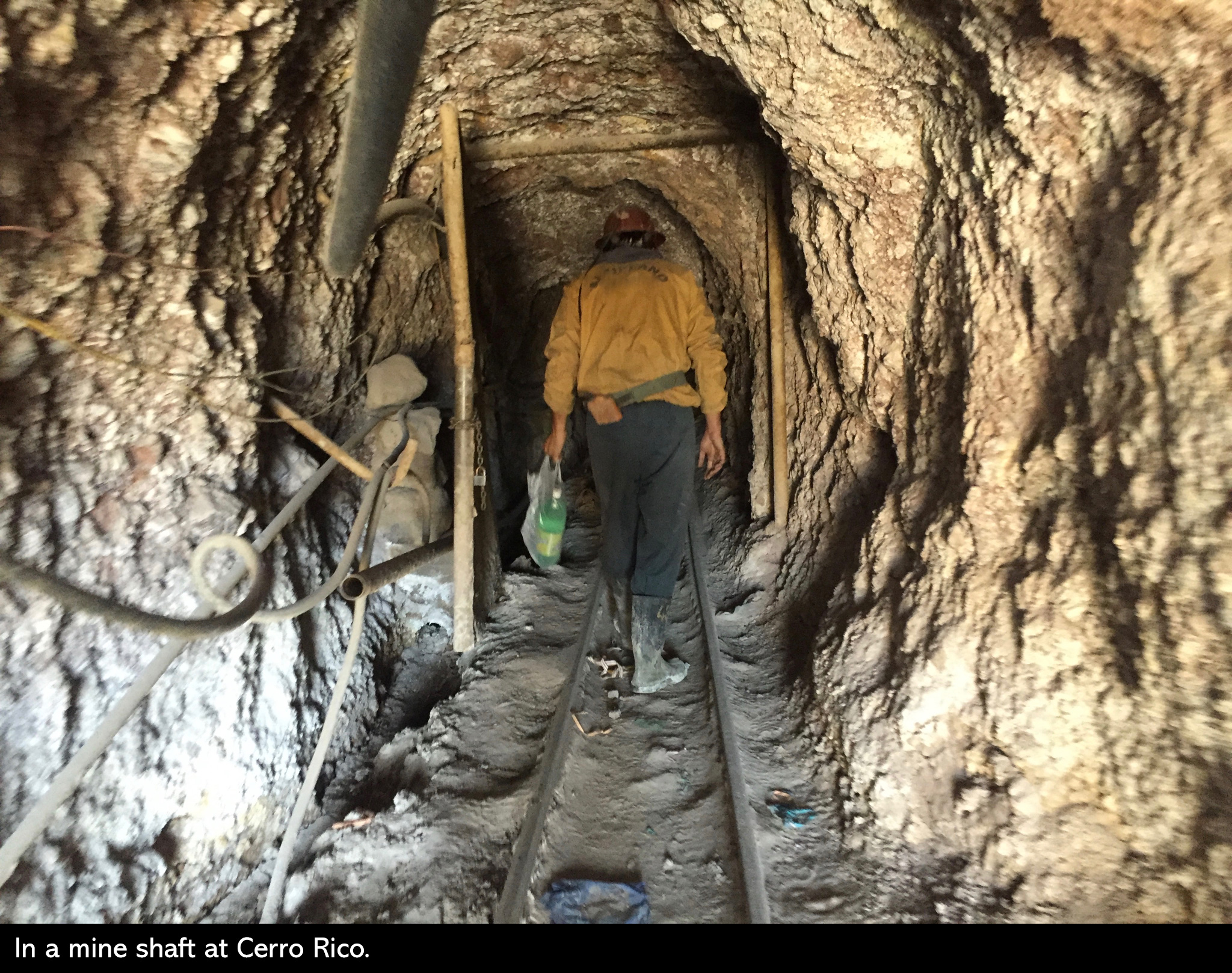 The One Device by Brian Merchant | Hachette Book Group