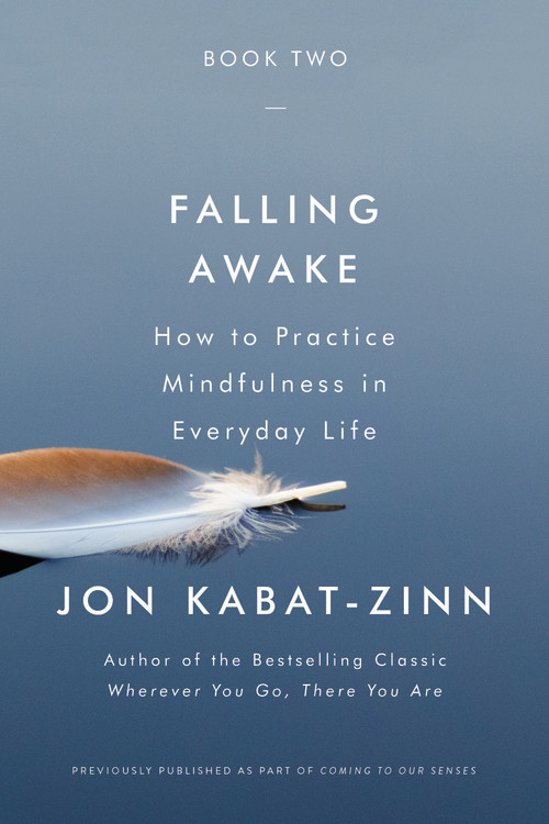 Jon Kabat Zinn Mindfulness