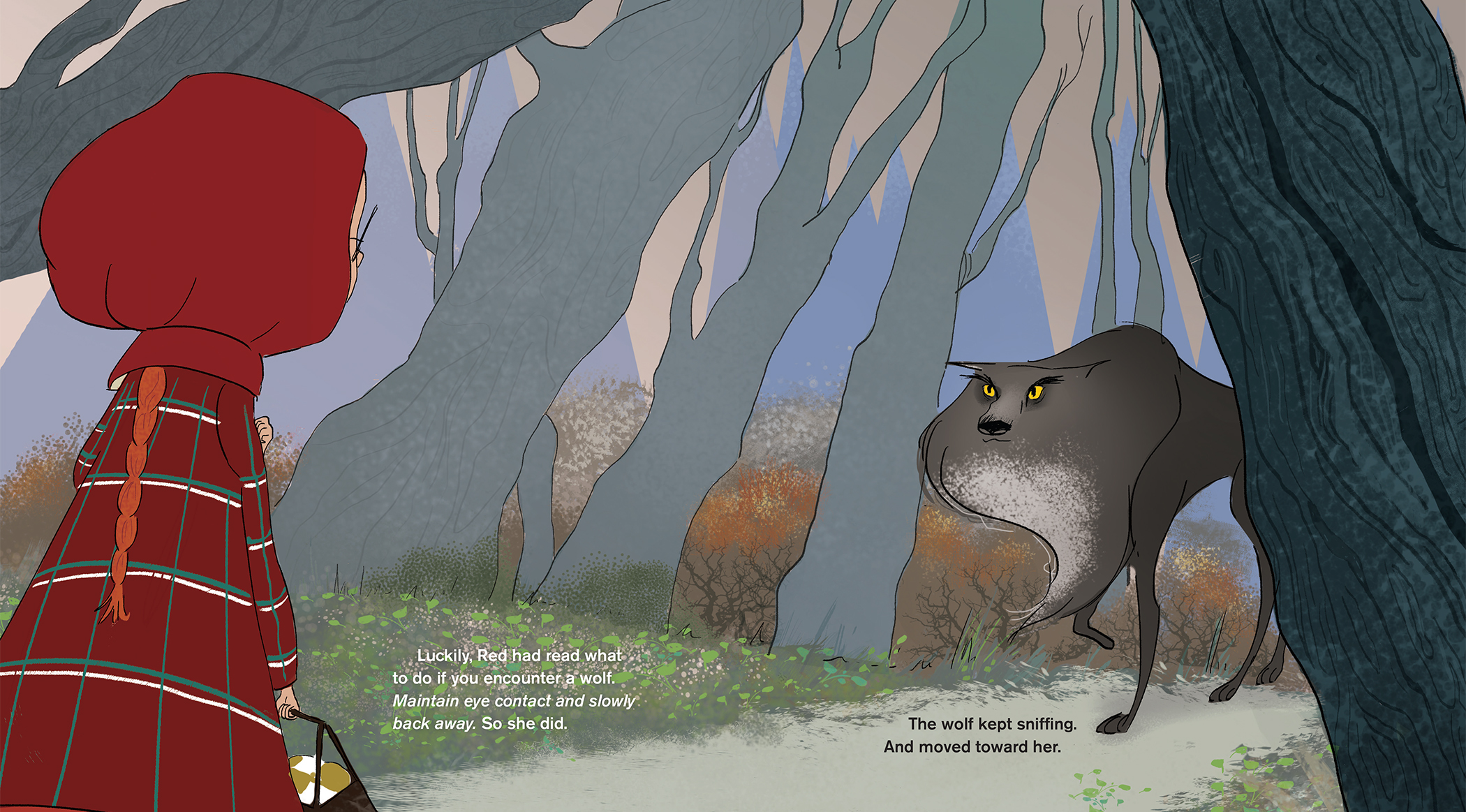 Little Red Reading Hood and the Misread Wolf by Troy Wilson | Hachette ...