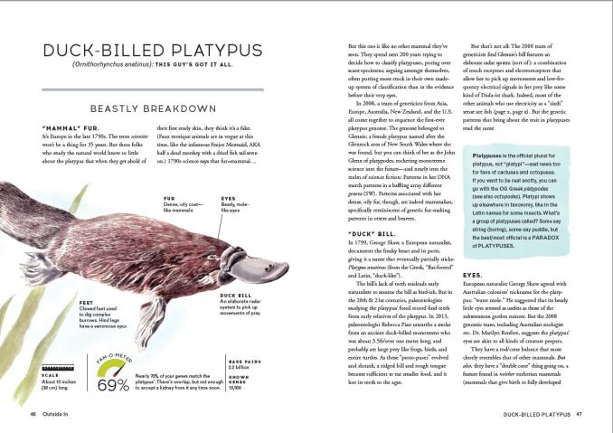 Consider the Platypus by Maggie Ryan Sandford | Hachette Book Group