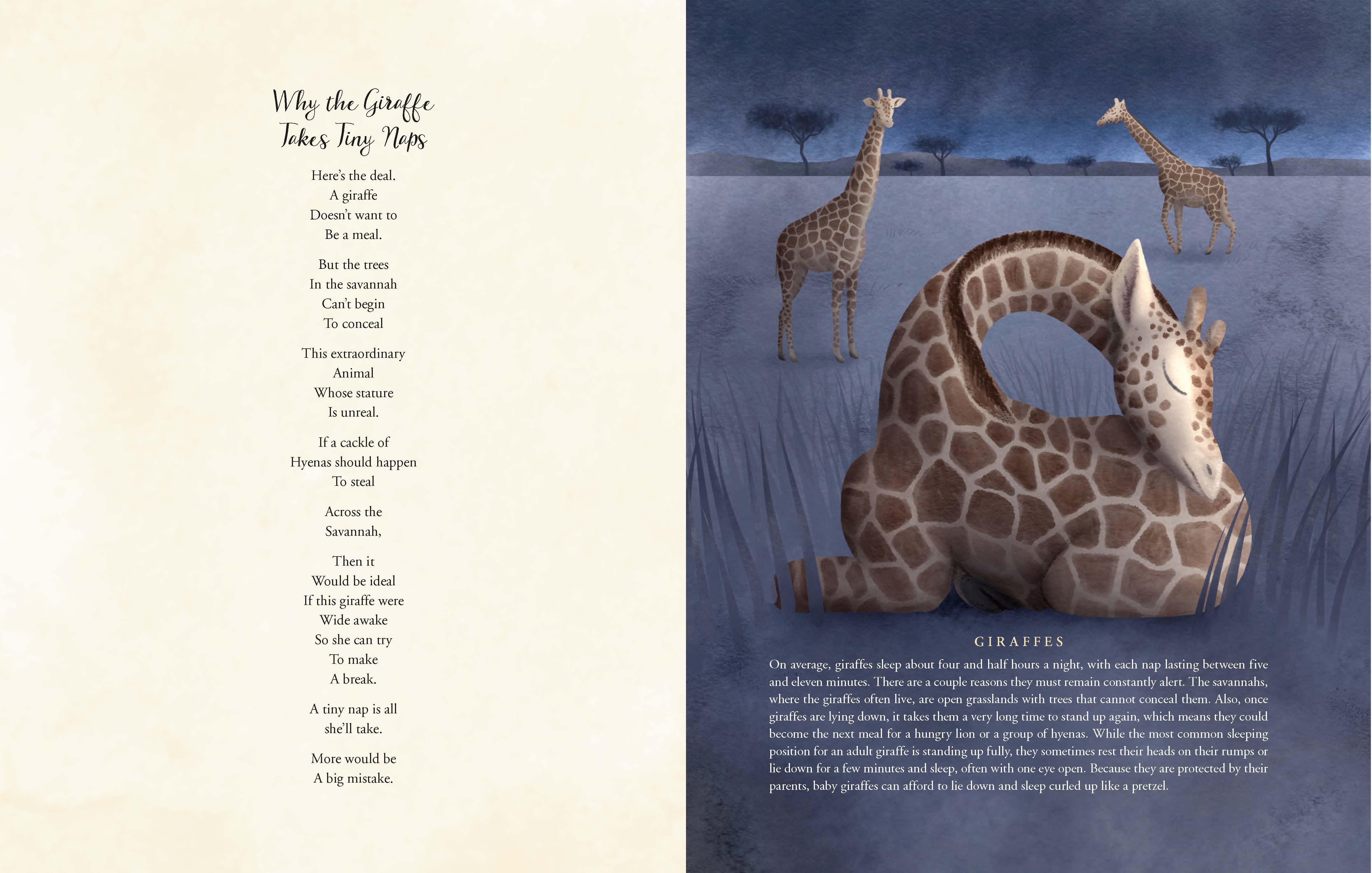 A Songbird Dreams of Singing by Kate Hosford | Hachette Book Group