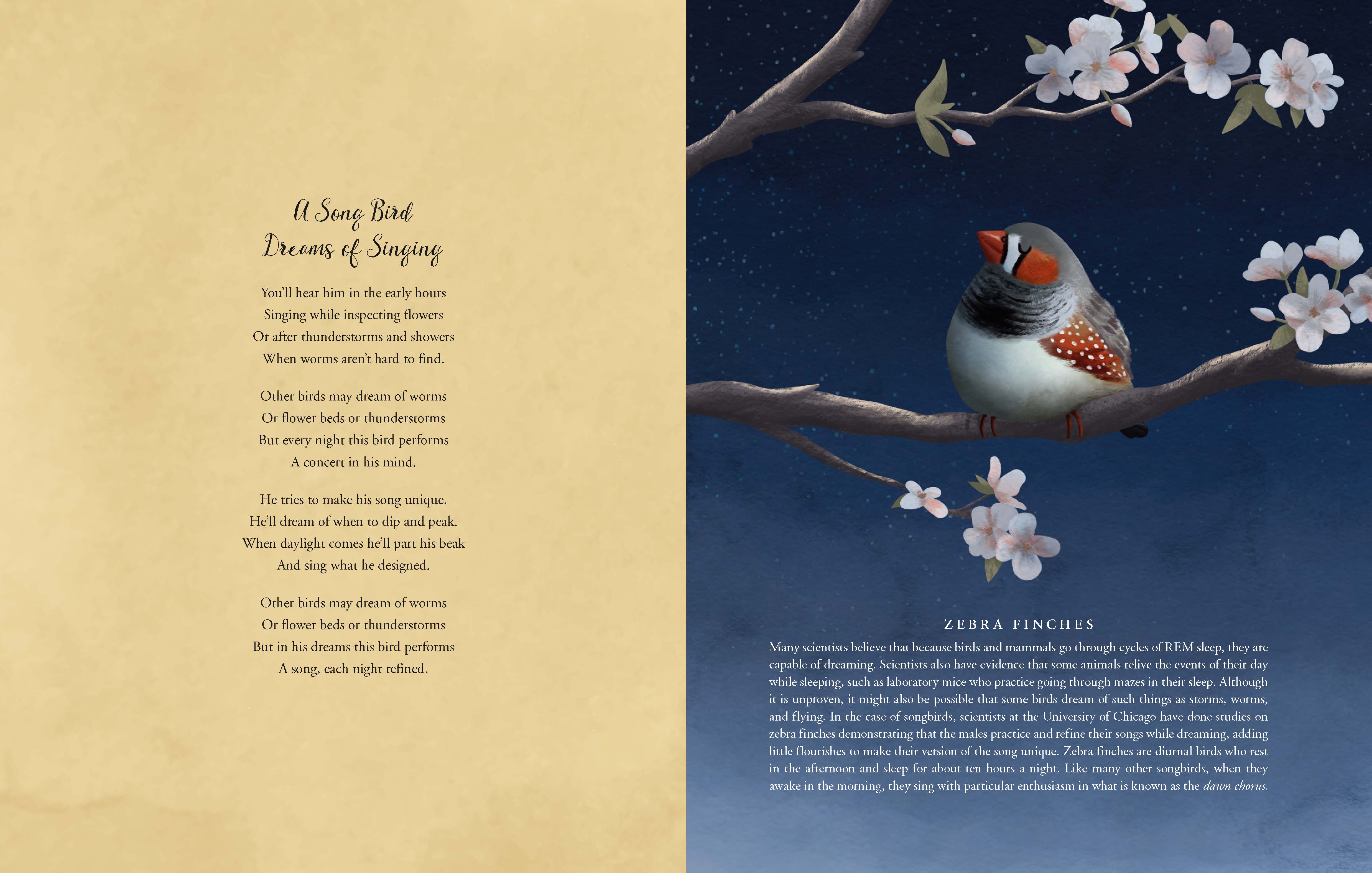 A Songbird Dreams of Singing by Kate Hosford & Jennifer M. Potter ...