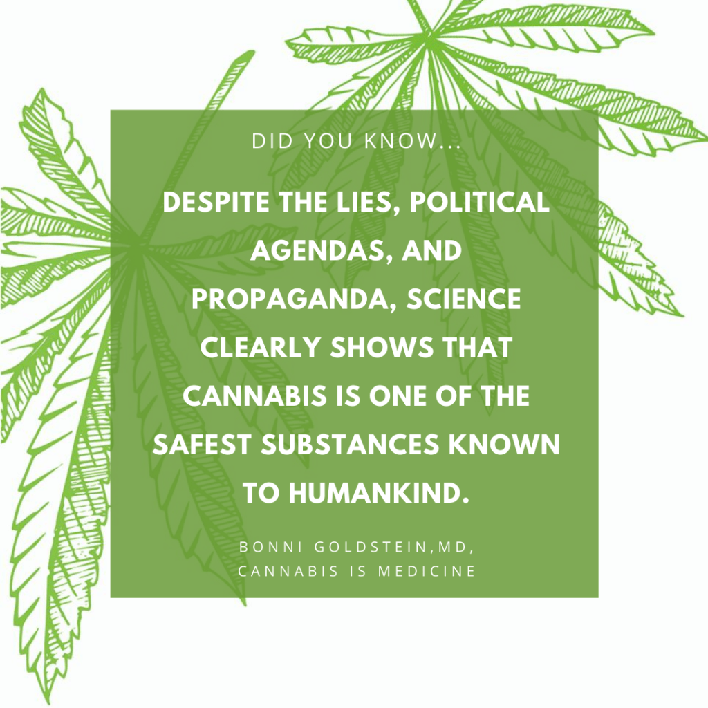 Cannabis Is Medicine by Bonni Goldstein, MD | Hachette Book Group