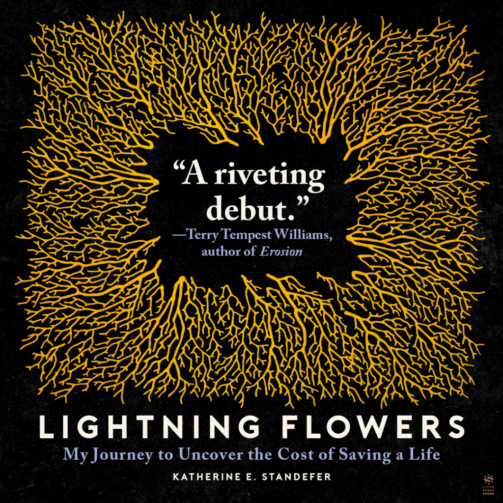 Lightning Flowers by Katherine E. Standefer | Hachette Book Group