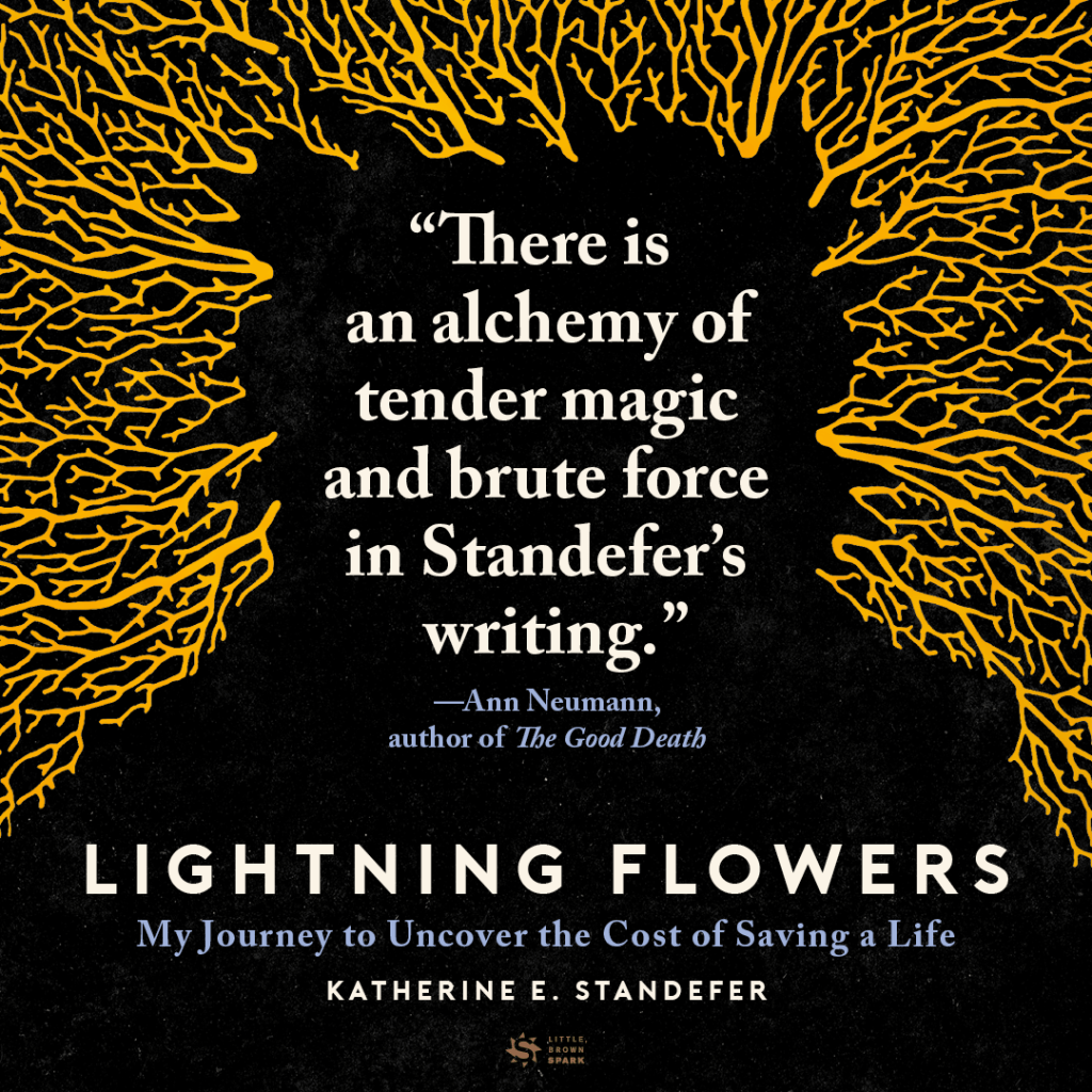 Lightning Flowers by Katherine E. Standefer | Hachette Book Group