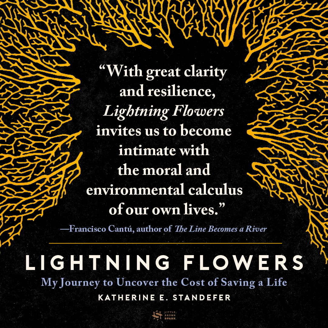 Lightning Flowers by Katherine E. Standefer | Hachette Book Group