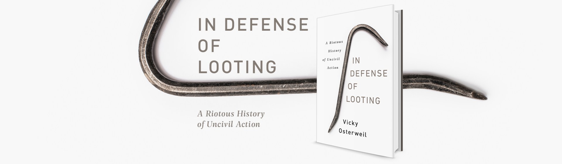 In Defense of Looting by Vicky Osterweil | Hachette Book Group