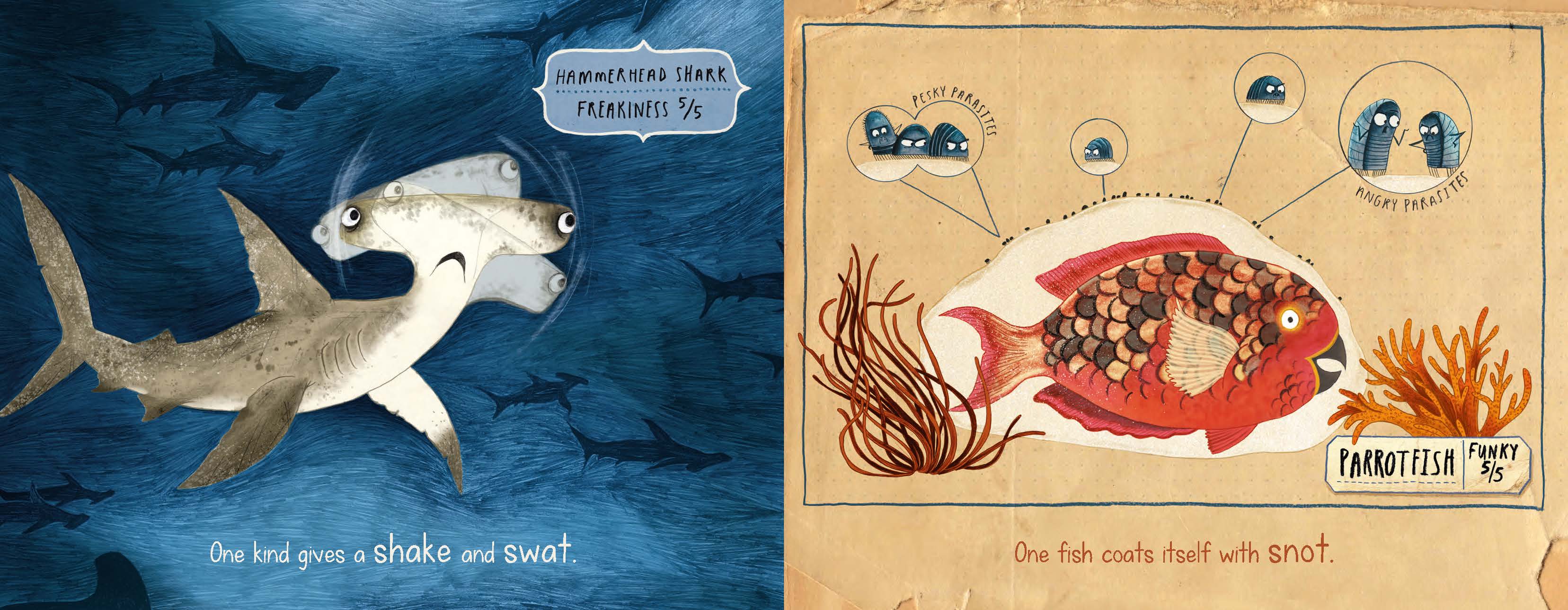 Freaky, Funky Fish by Debra Kempf Shumaker | Hachette Book Group