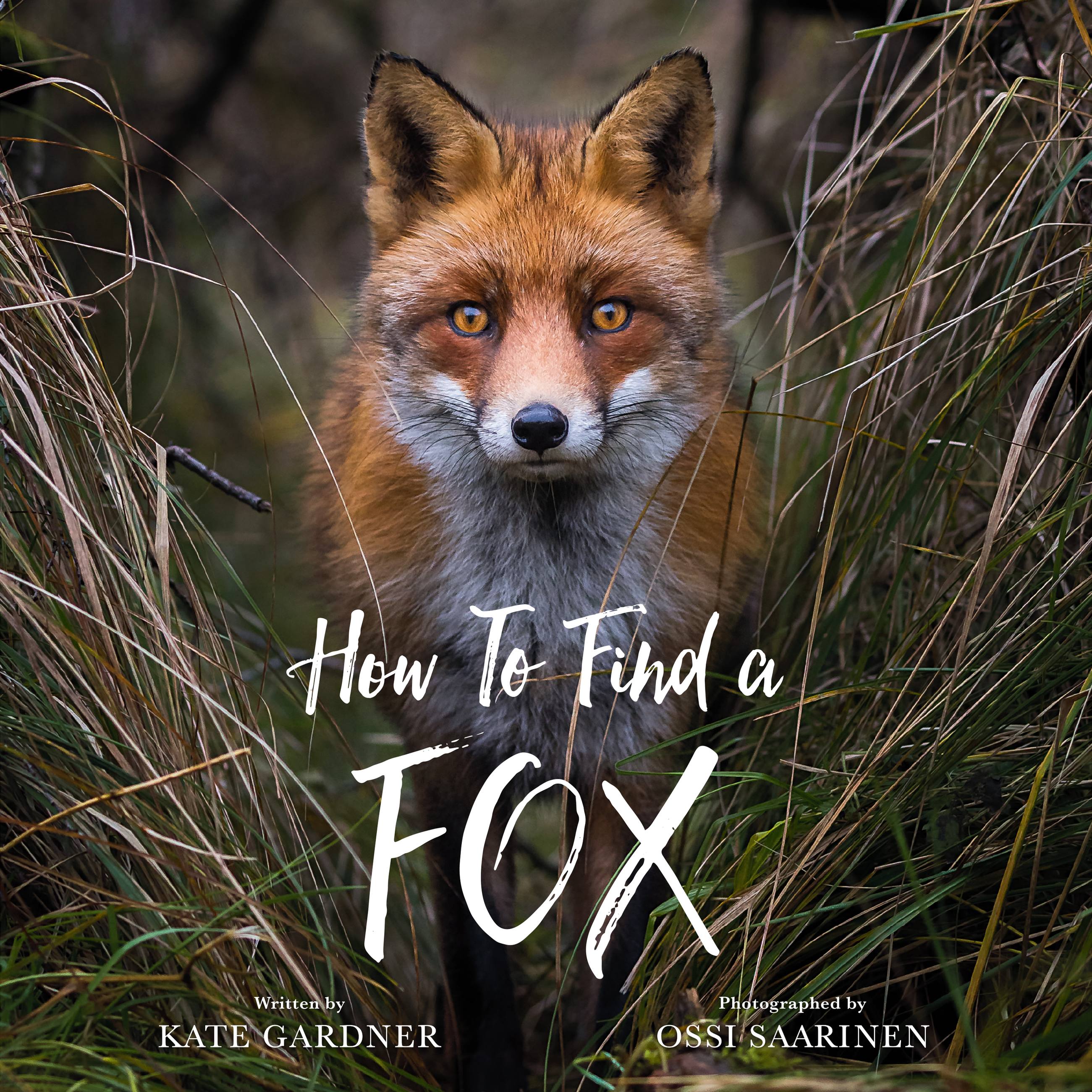 How to Find a Fox by Kate Gardner | Hachette Book Group