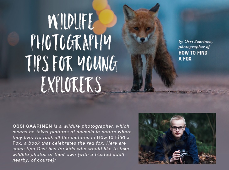 How to Find a Fox by Kate Gardner | Hachette Book Group