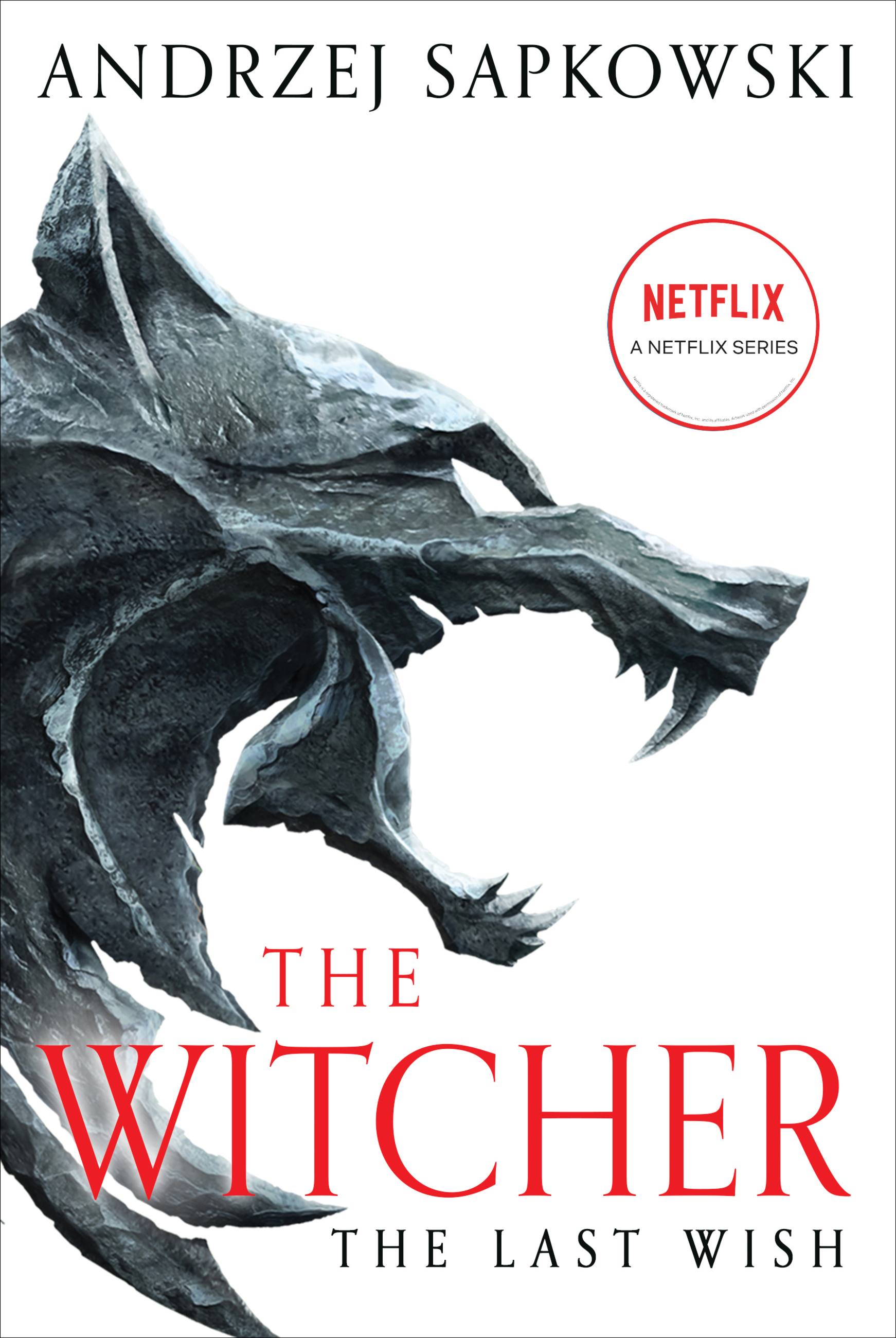 Andrzej Sapkowski’s Witcher Series | Hachette Book Group