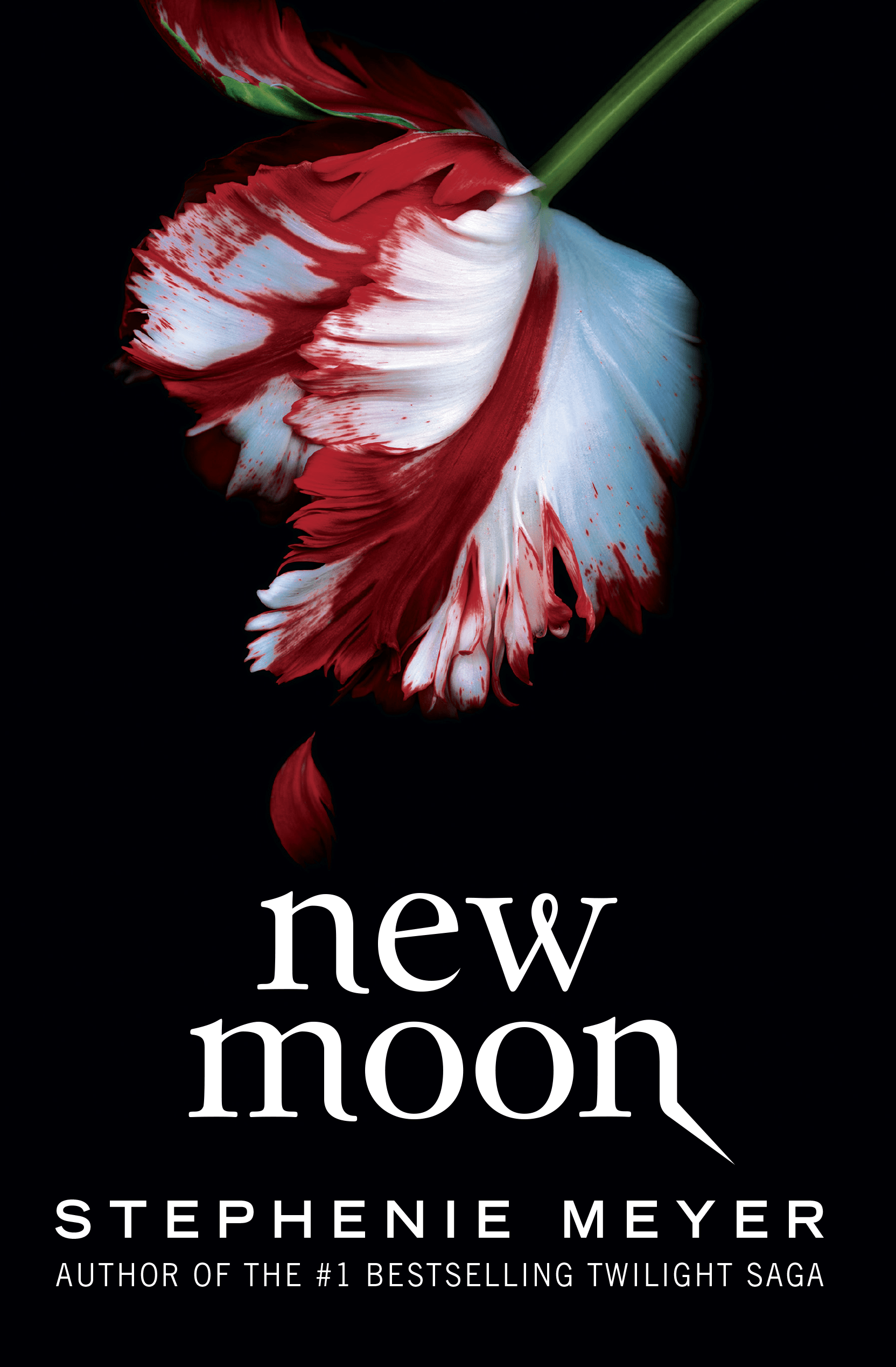 Stephenie Meyer’s Twilight Saga Reading Order | Hachette Book Group