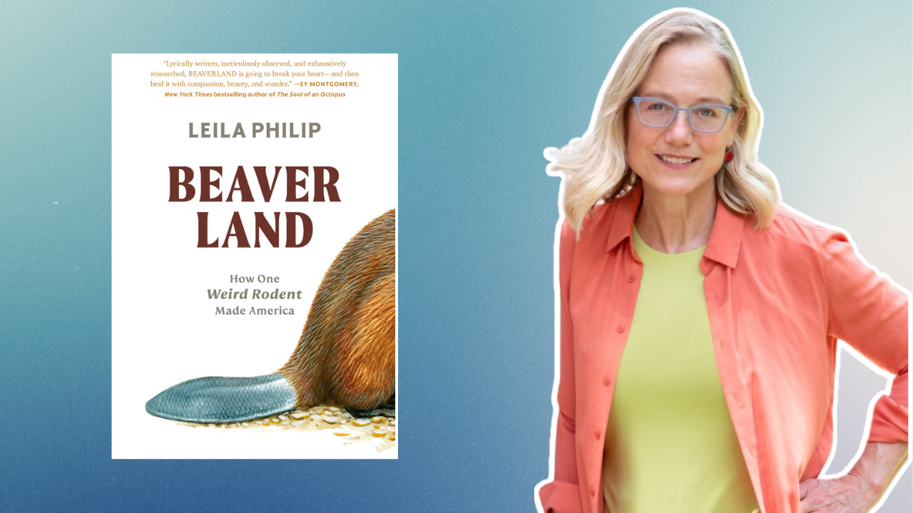 Leila Philip's Fast Facts About The World of Beavers | Hachette Book Group