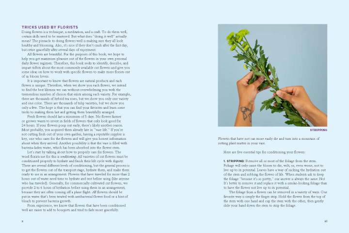 The Encyclopedia of Cut Flowers by Calvert Crary | Hachette Book Group