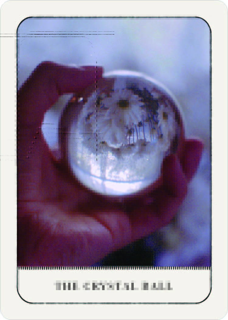 Gentle Chaos Pocket Oracle Deck by Tyler Gaca | Hachette Book Group