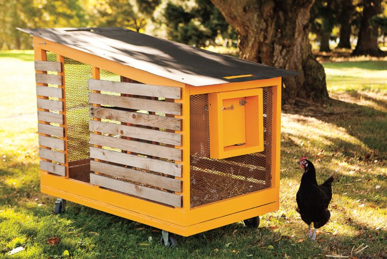 Backyard Makeover: Build a Chicken Coop | Hachette Book Group