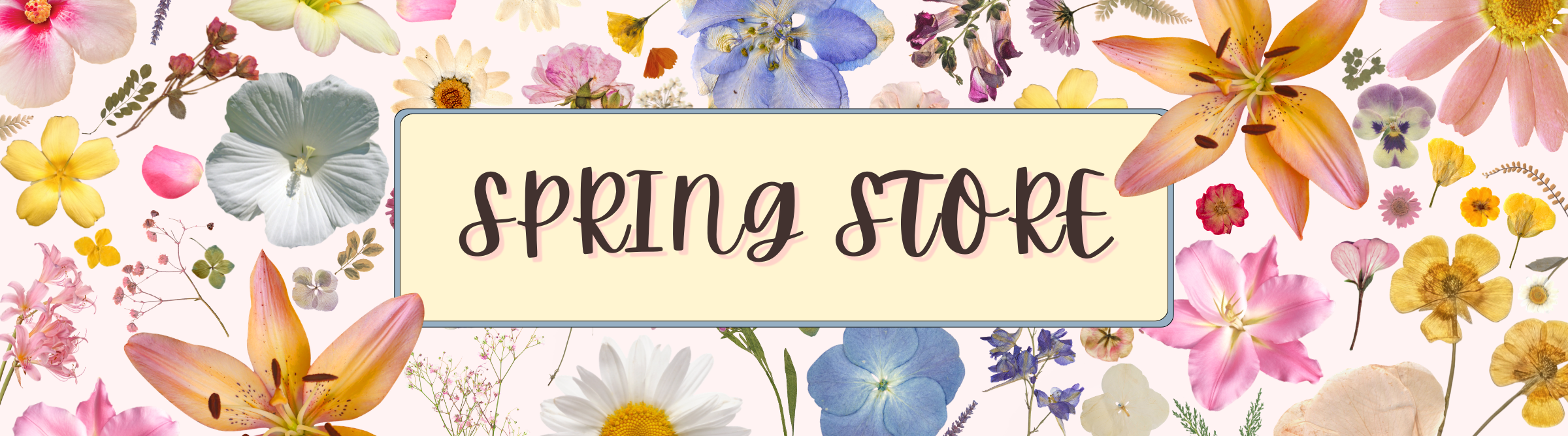 Hachette Book Group Store | Hachette Book Group