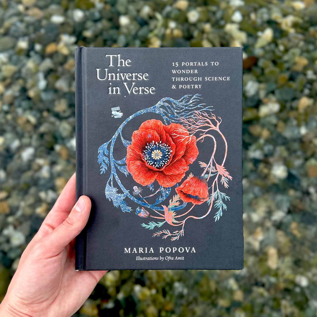 Storey Publishing – Home | Hachette Book Group