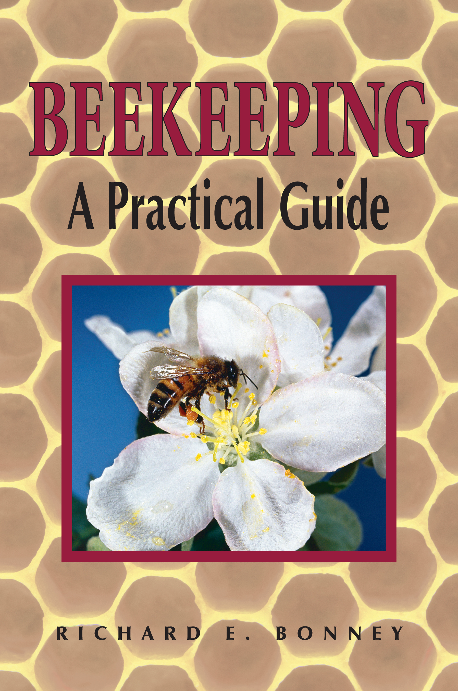Beekeeping 101: Where Should I Put My Hives? | Hachette Book Group