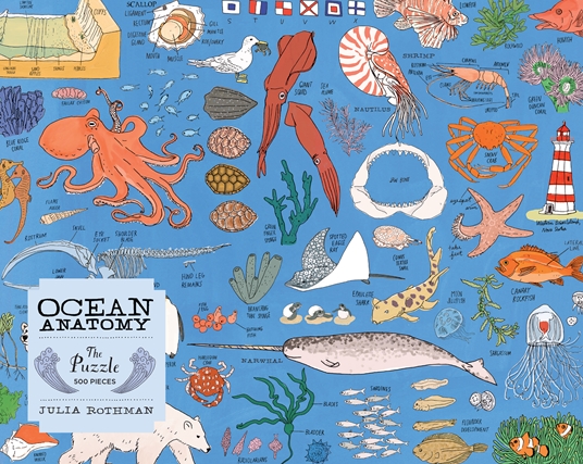 Ocean Anatomy: The Puzzle (500 pieces) by Julia Rothman | Hachette Book ...