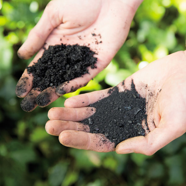 Five Reasons to Use Biochar in Your Garden | Hachette Book Group