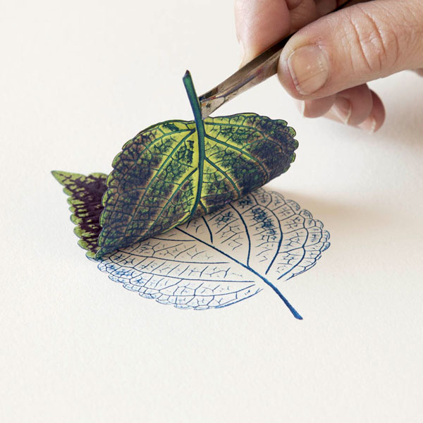 printing with leaves | Hachette Book Group