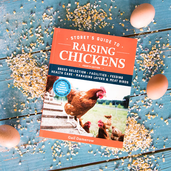 Three Reasons We Updated Storey’s Guide to Raising Chickens | Hachette ...