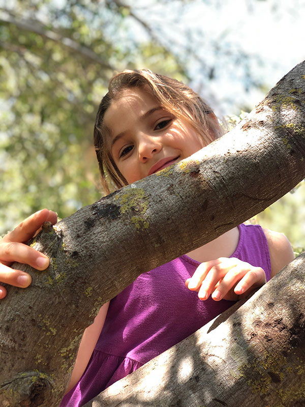 Family Fun: Tree Bark Scavenger Hunt | Hachette Book Group