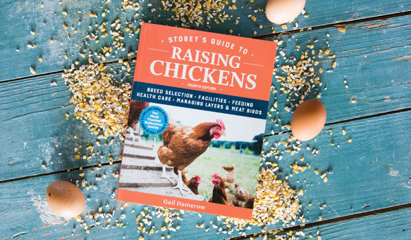 Three Reasons We Updated Storey’s Guide to Raising Chickens | Hachette ...