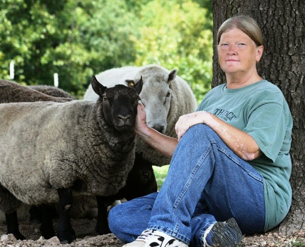 The Skinny on Keeping Sheep as Pets | Hachette Book Group