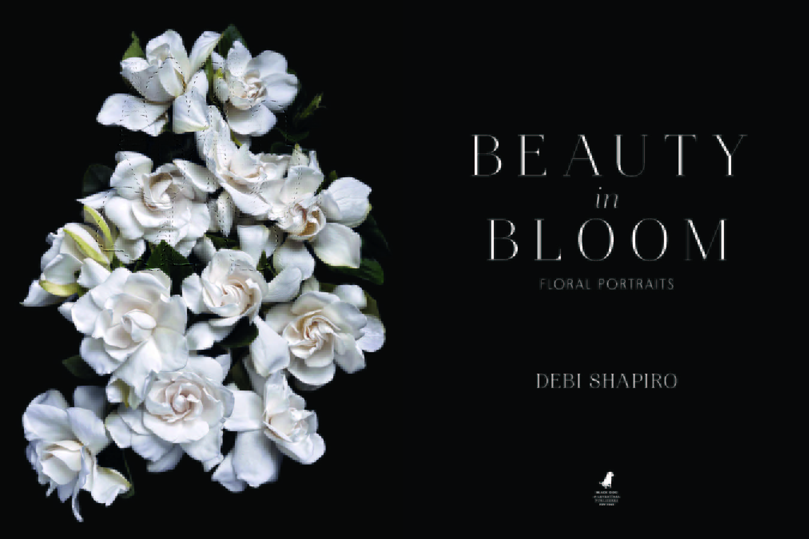 Beauty in Bloom by Debi Shapiro | Hachette Book Group