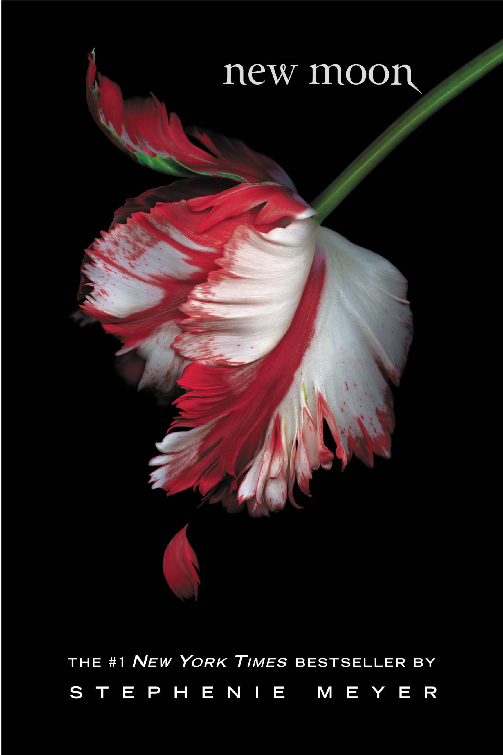 Twilight Series | Stephenie Meyer | Hachette Book Group