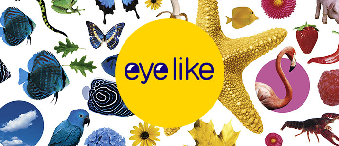 Eyelike Stickers Brand Page | Hachette Book Group