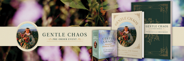 Gentle Chaos In Pre-Order Event | Hachette Book Group