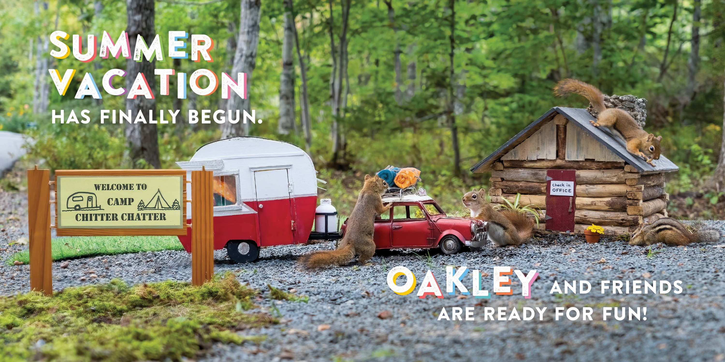 Oakley the Squirrel | Hachette Book Group