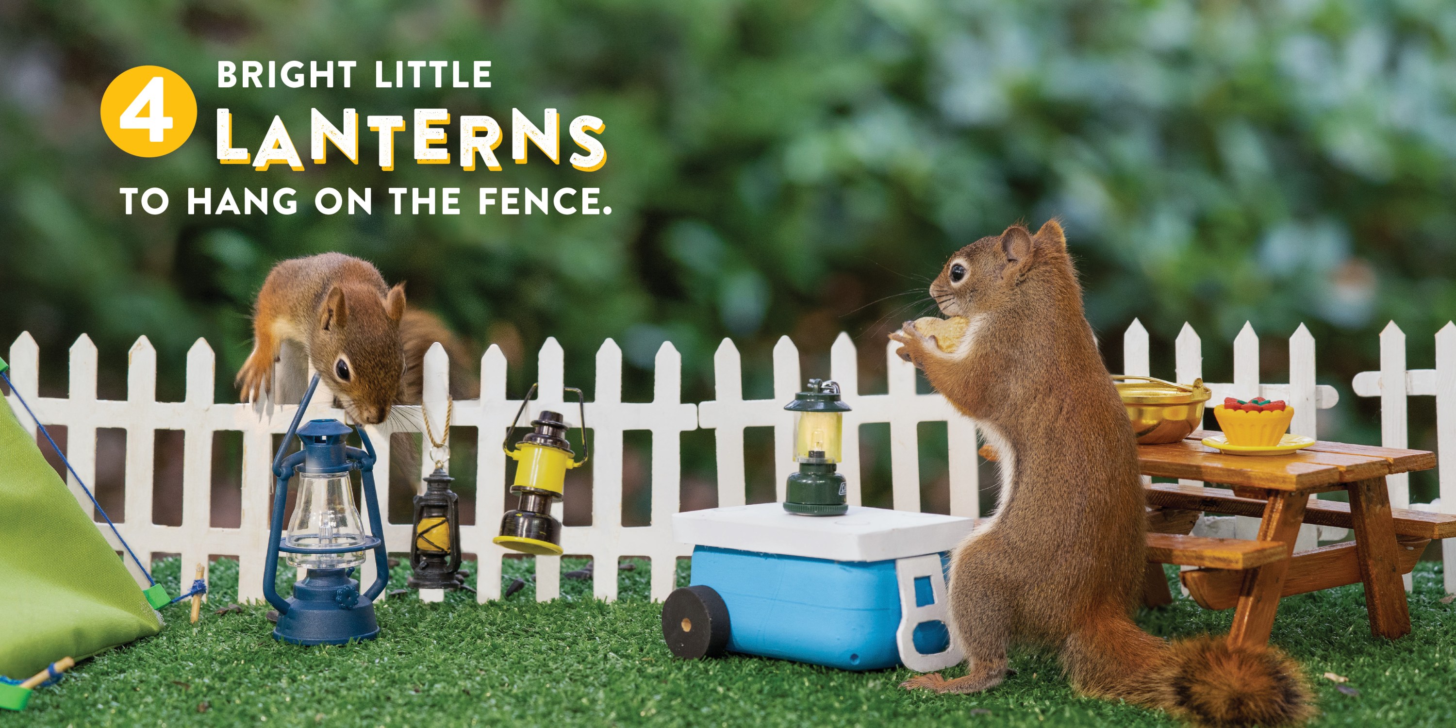 Oakley the Squirrel | Hachette Book Group