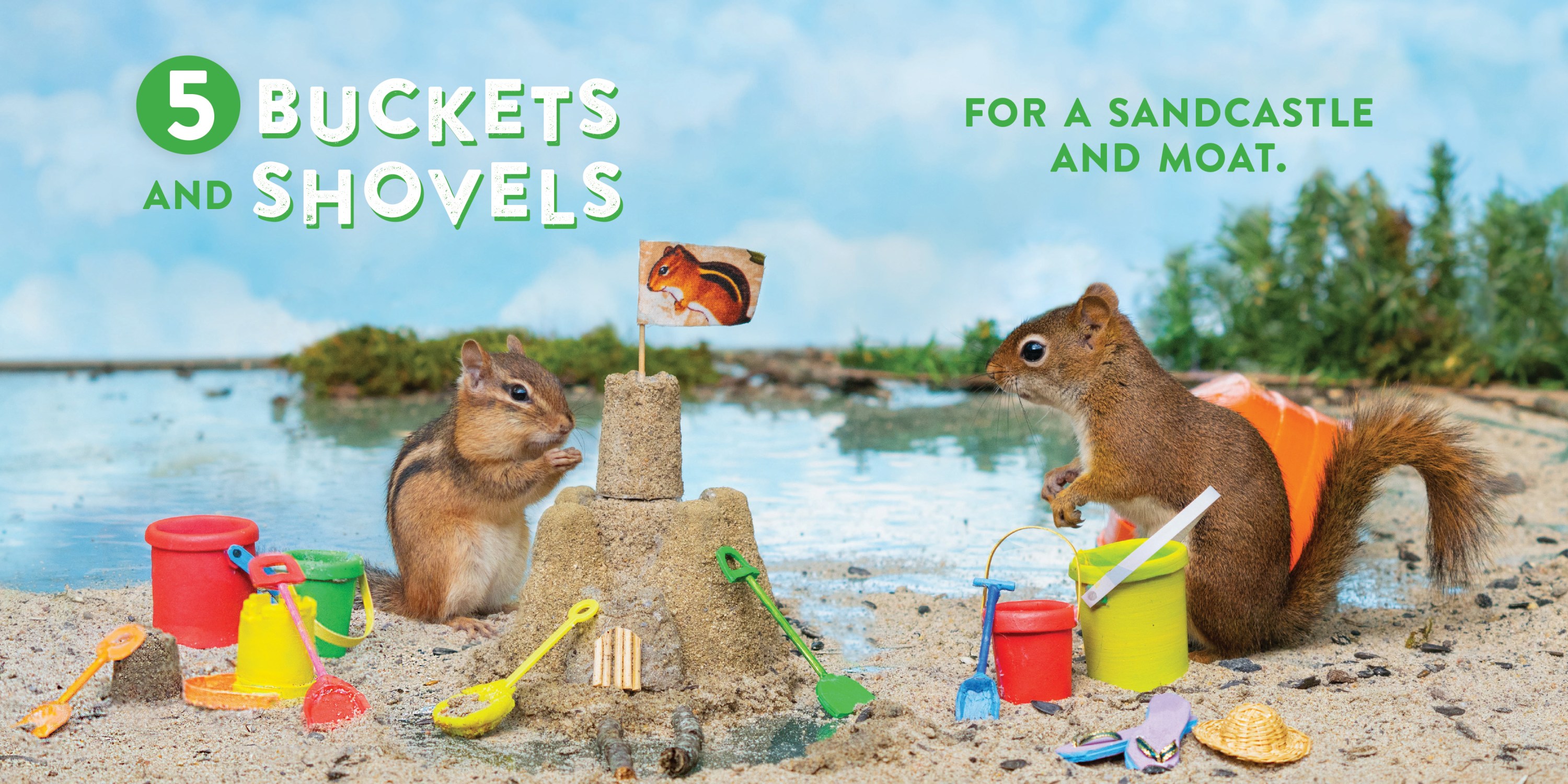 Oakley the Squirrel | Hachette Book Group