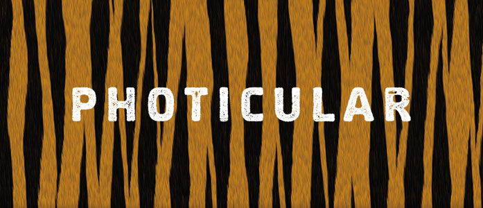 Photicular Brand Page | Hachette Book Group