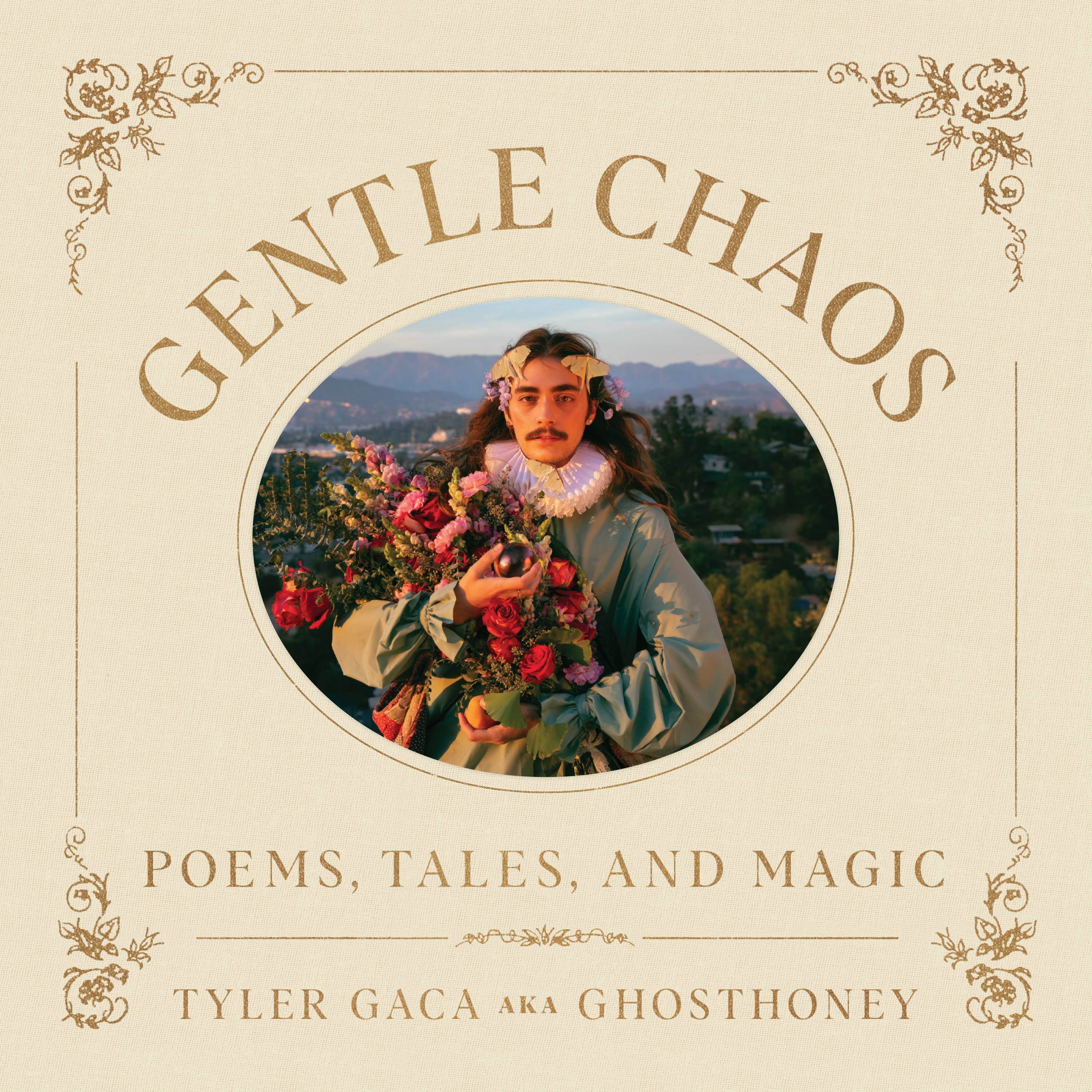 Gentle Chaos by Tyler Gaca | Hachette Book Group
