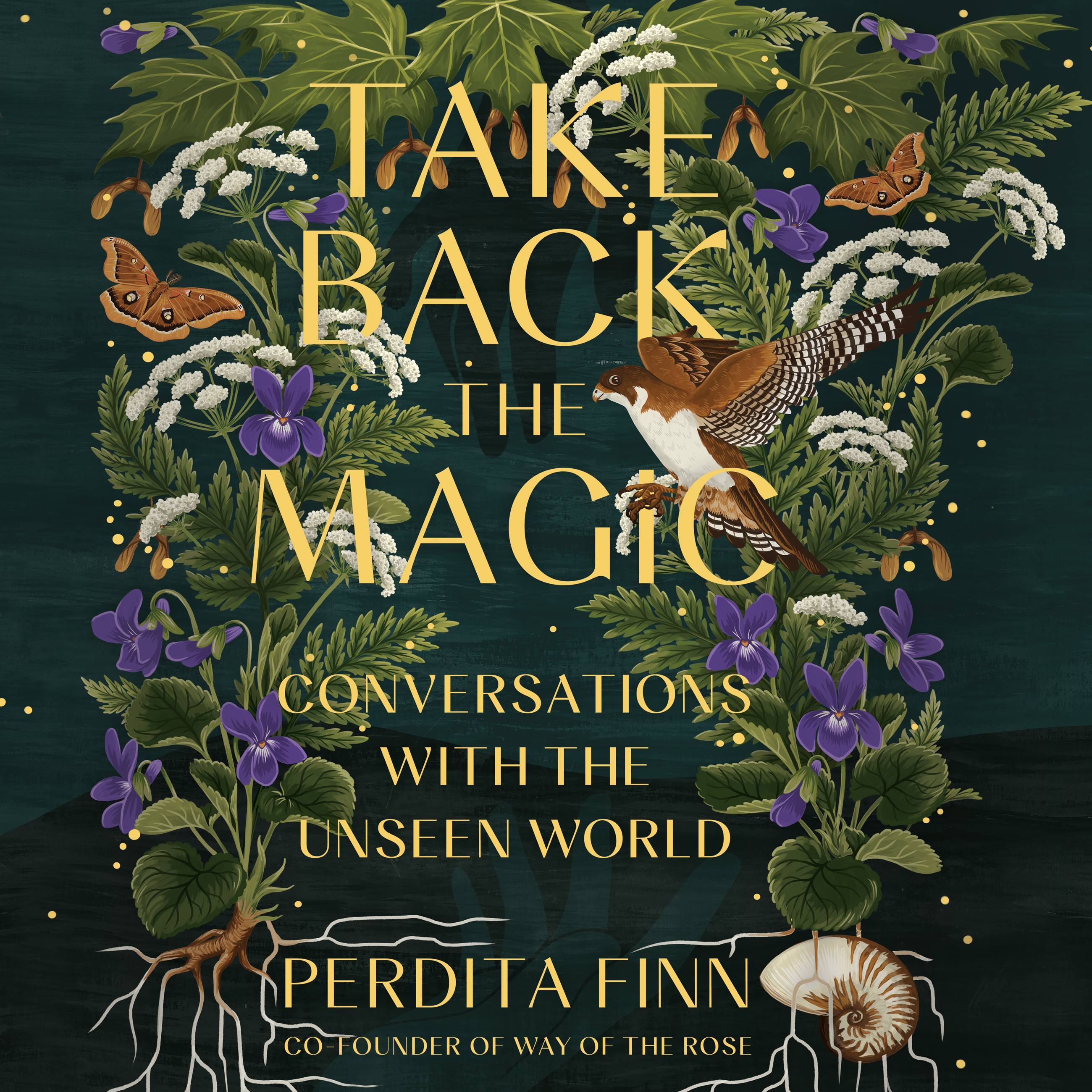 Take Back the Magic by Perdita Finn | Hachette Book Group