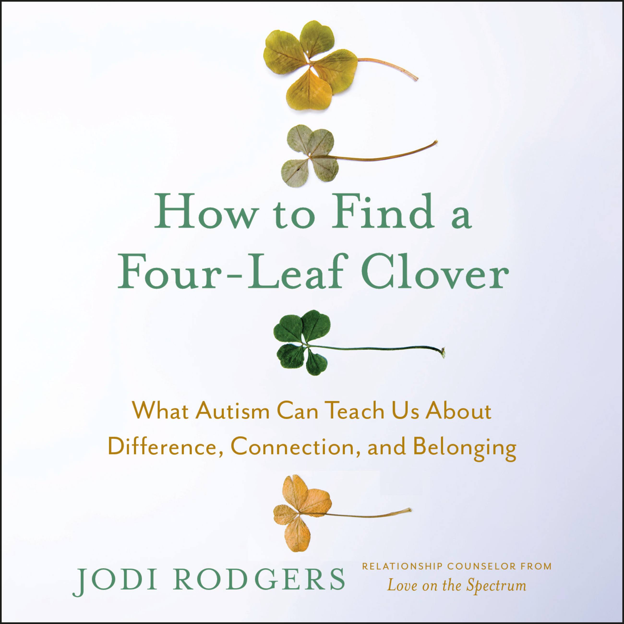 How to Find a Four-Leaf Clover by Jodi Rodgers | Hachette Book Group