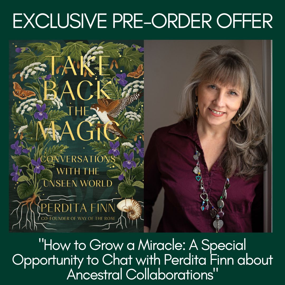 Take Back the Magic Pre-Order Offer | Hachette Book Group