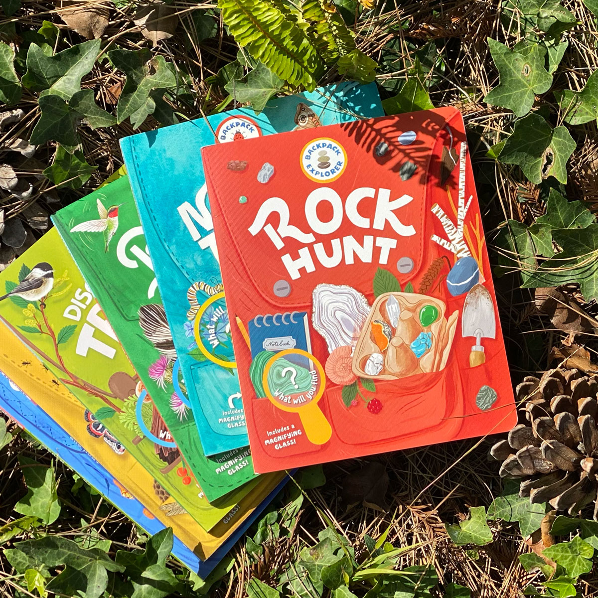 Storey – Books – For Kids age 5+ | Hachette Book Group